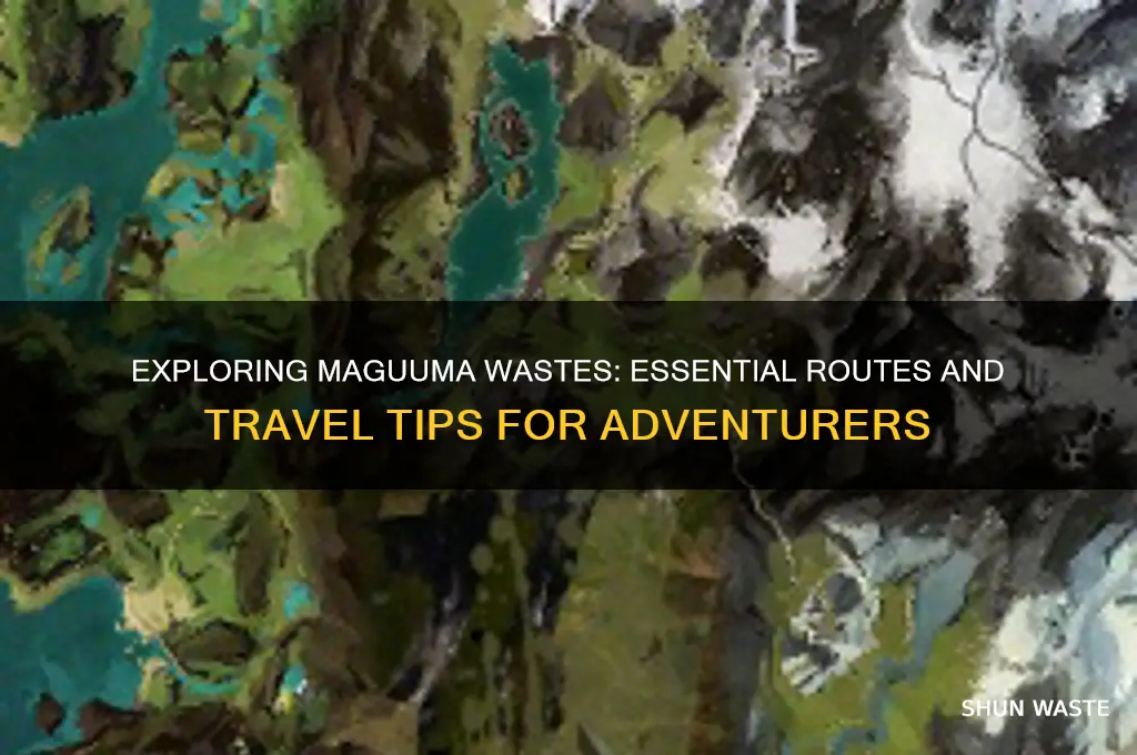 Exploring Maguuma Wastes: Essential Routes And Travel Tips For ...