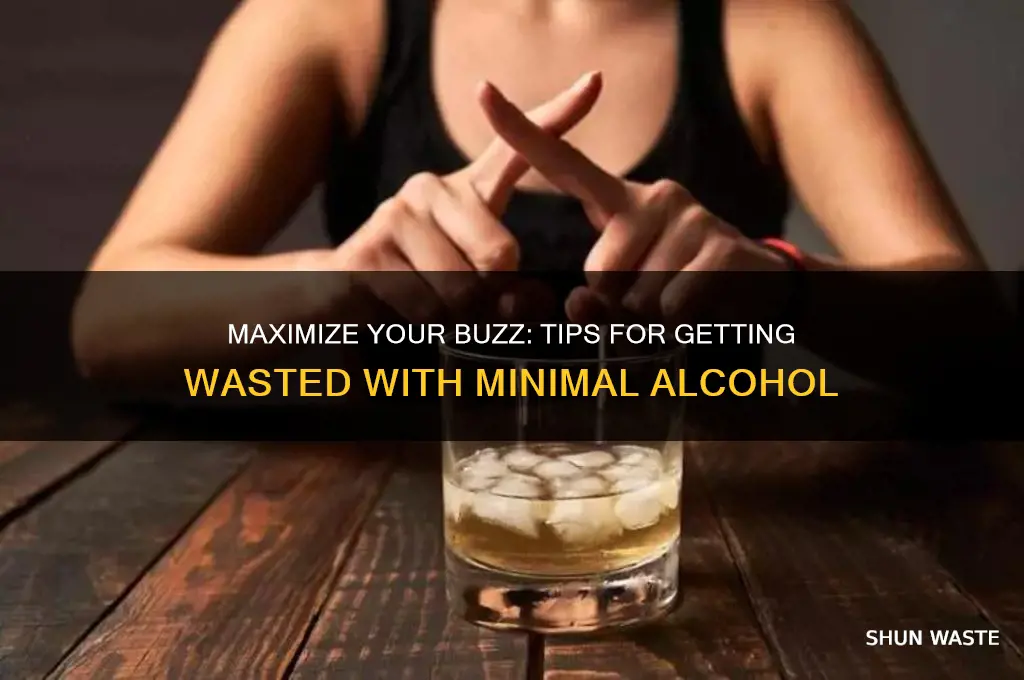 Maximize Your Buzz: Tips For Getting Wasted With Minimal Alcohol ...