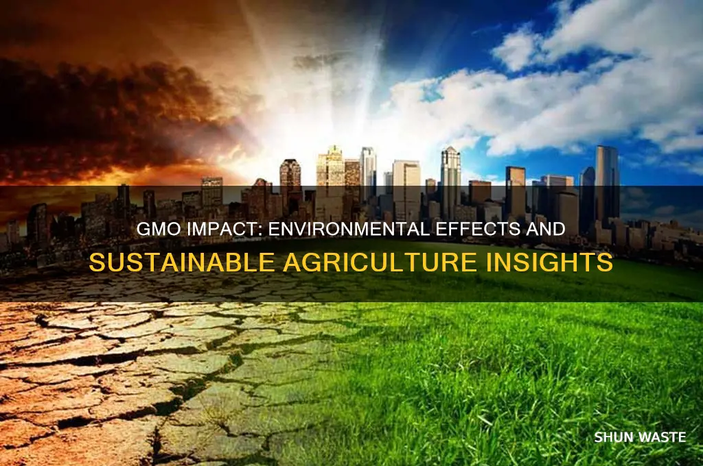 Gmo Impact: Environmental Effects And Sustainable Agriculture Insights ...