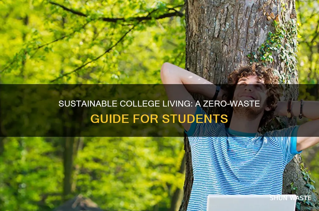 Sustainable College Living: A Zero-Waste Guide For Students | ShunWaste