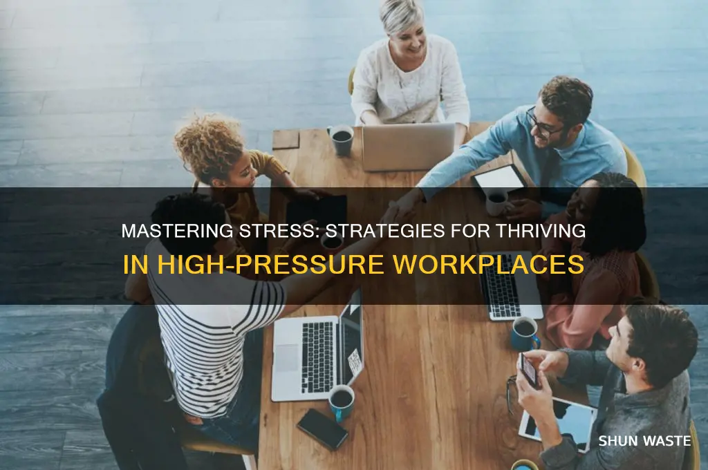 Mastering Stress: Strategies For Thriving In High-Pressure Workplaces ...