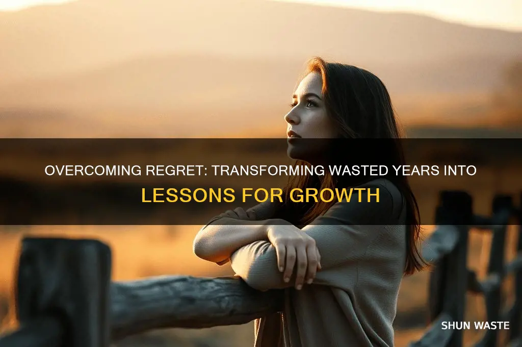 Overcoming Regret: Transforming Wasted Years Into Lessons For Growth ...