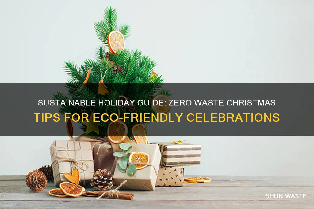 Sustainable Holiday Guide: Zero Waste Christmas Tips For Eco-Friendly ...