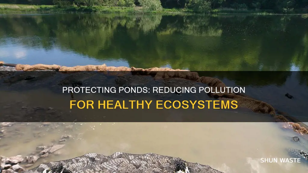 Protecting Ponds: Reducing Pollution For Healthy Ecosystems | ShunWaste