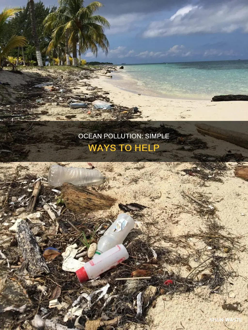 Ocean Pollution: Simple Ways To Help | ShunWaste