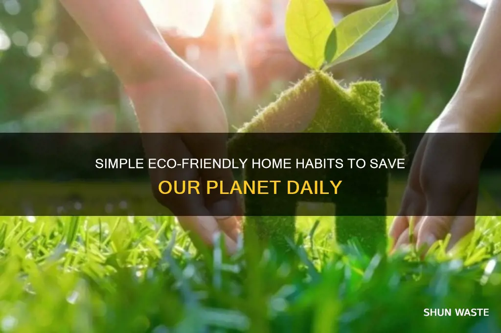 Simple Eco-Friendly Home Habits To Save Our Planet Daily | ShunWaste