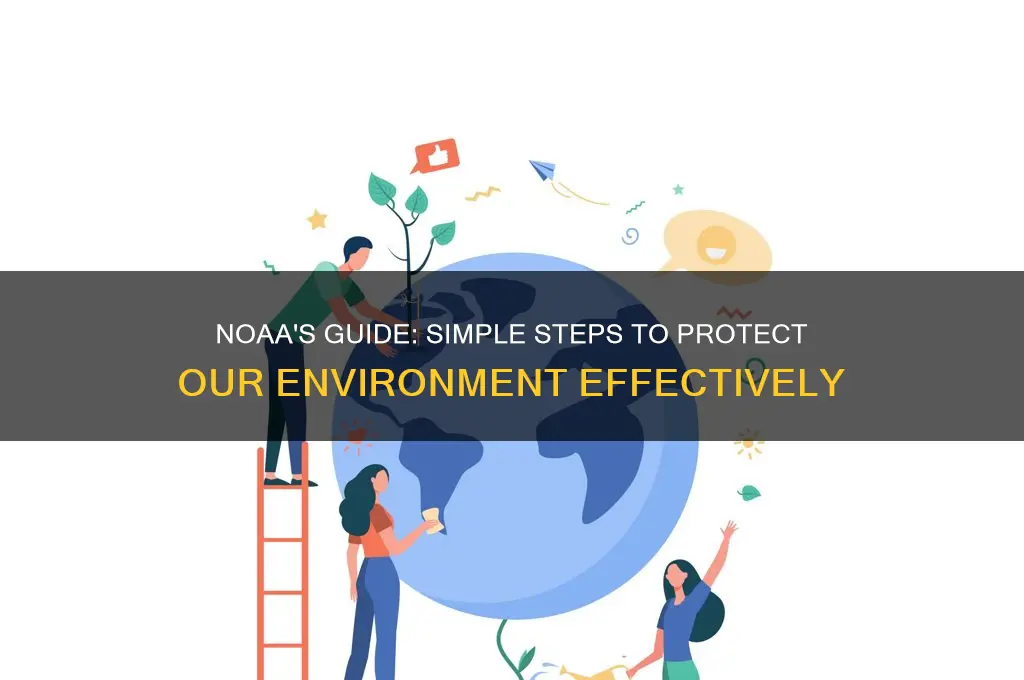 Noaa's Guide: Simple Steps To Protect Our Environment Effectively ...