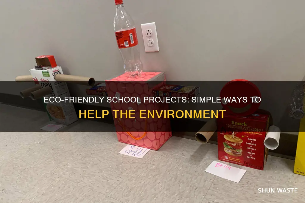 Eco-Friendly School Projects: Simple Ways To Help The Environment ...