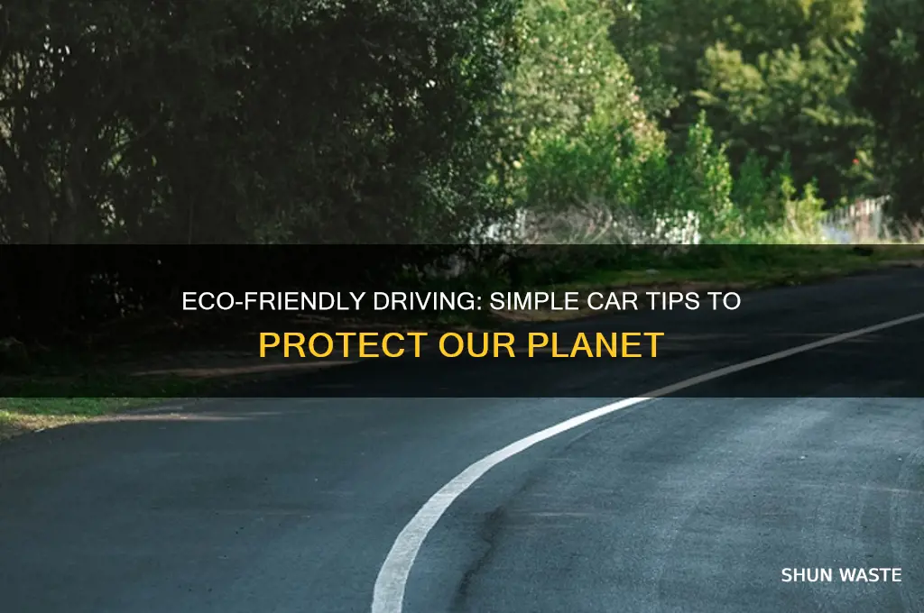 Eco-Friendly Driving: Simple Car Tips To Protect Our Planet | ShunWaste