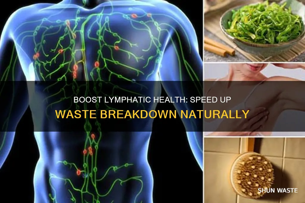 Boost Lymphatic Health: Speed Up Waste Breakdown Naturally | ShunWaste