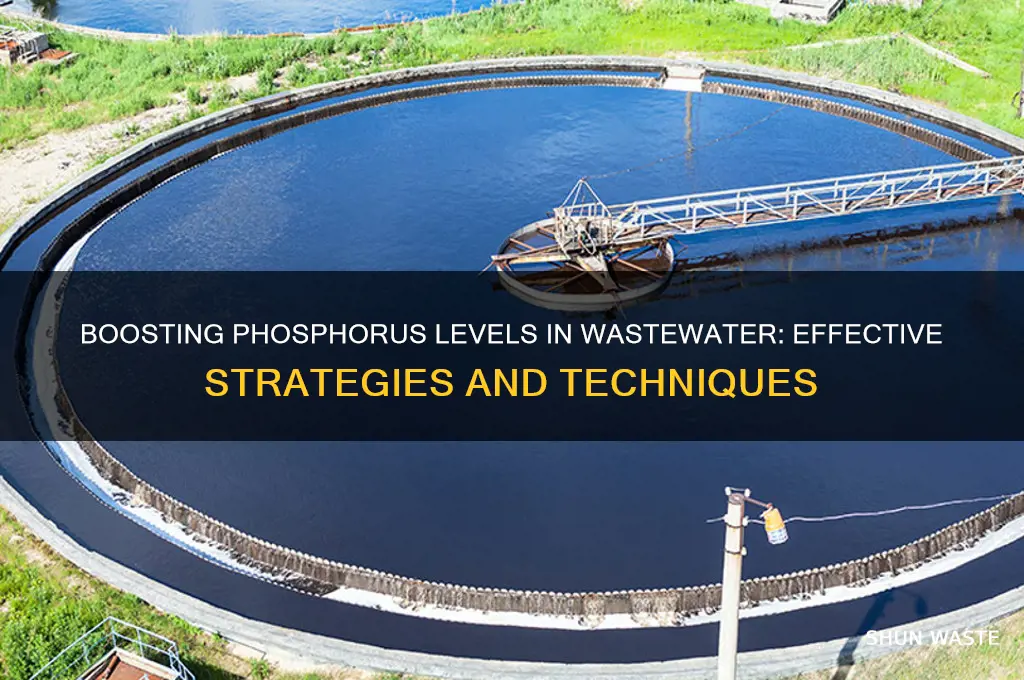 Boosting Phosphorus Levels In Wastewater: Effective Strategies And ...