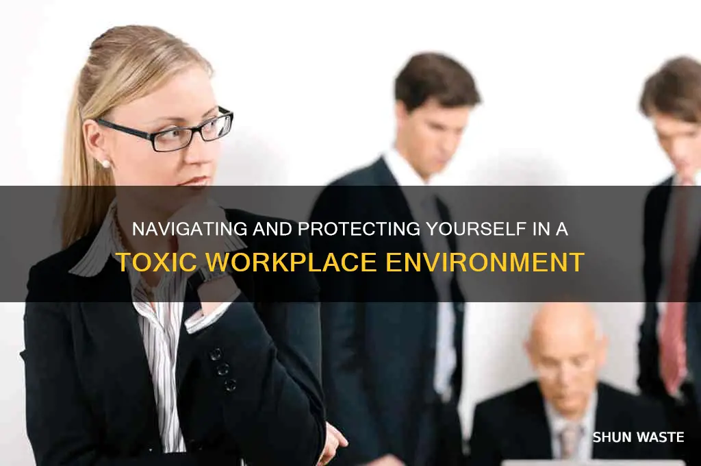 Navigating And Protecting Yourself In A Toxic Workplace Environment ...