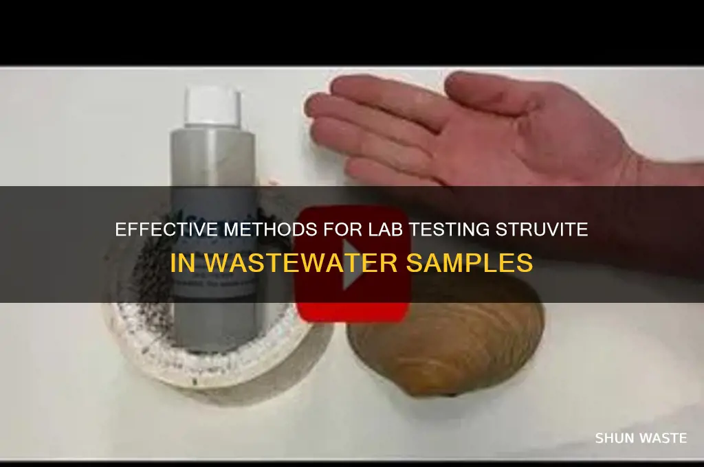 Effective Methods For Lab Testing Struvite In Wastewater Samples ...