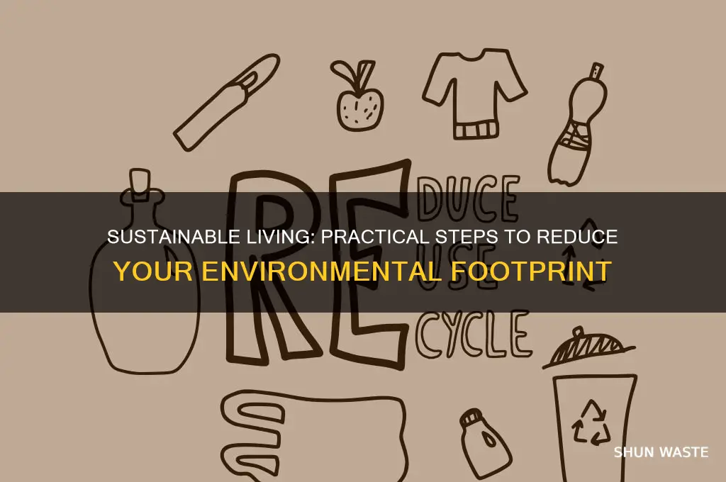 Sustainable Living: Practical Steps To Reduce Your Environmental ...