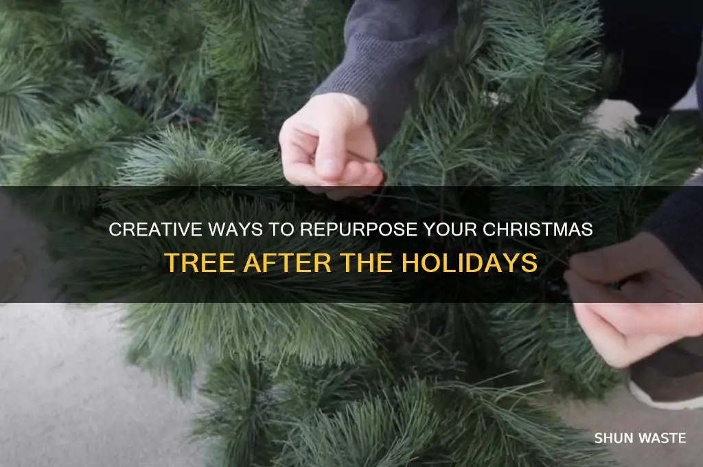 Creative Ways To Repurpose Your Christmas Tree After The Holidays ...