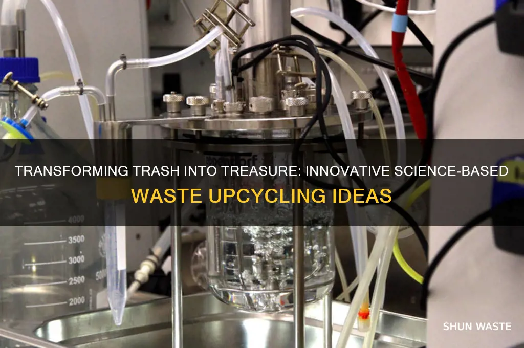 Transforming Trash Into Treasure: Innovative Science-Based Waste ...