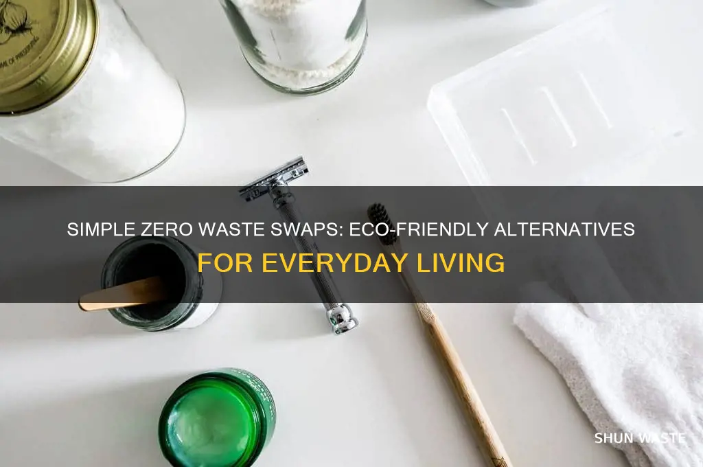 Simple Zero Waste Swaps: Eco-Friendly Alternatives For Everyday Living ...