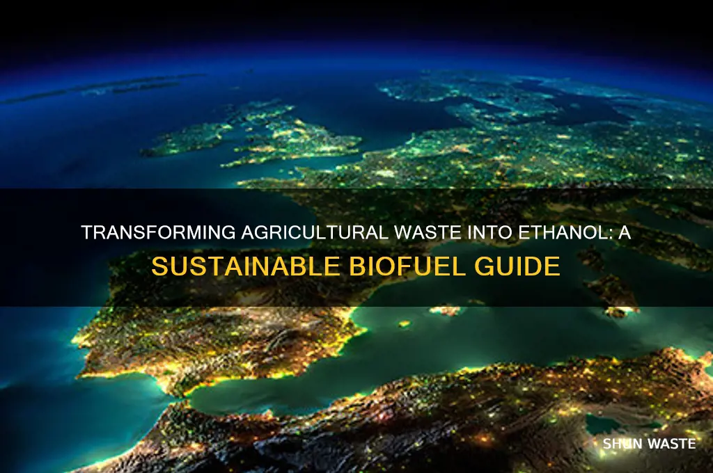 Transforming Agricultural Waste Into Ethanol: A Sustainable Biofuel ...