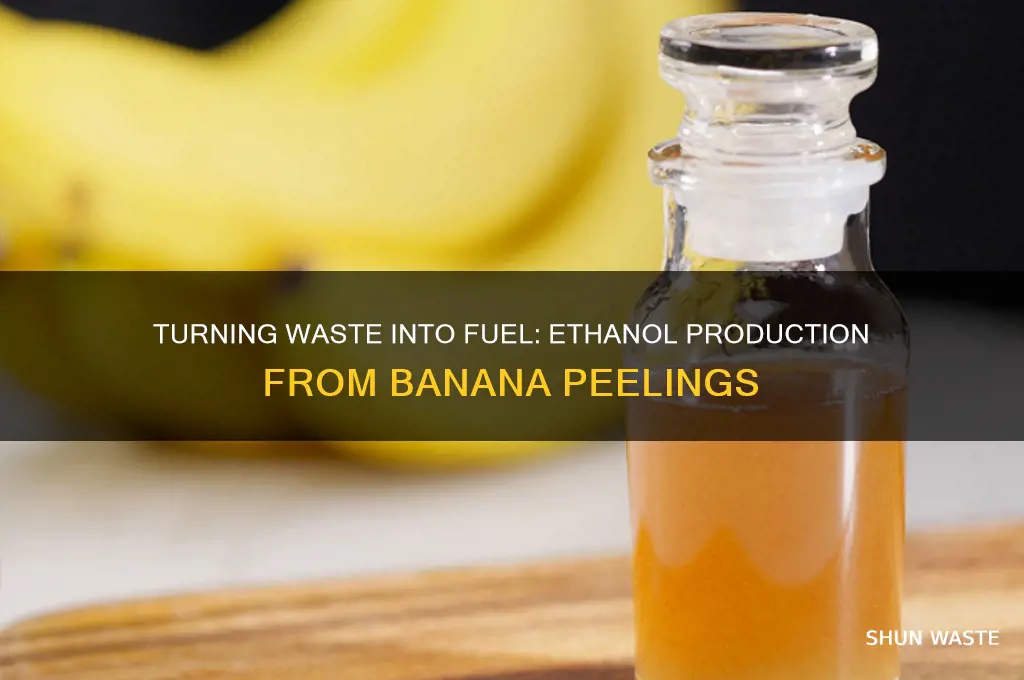 Turning Waste Into Fuel: Ethanol Production From Banana Peelings ...