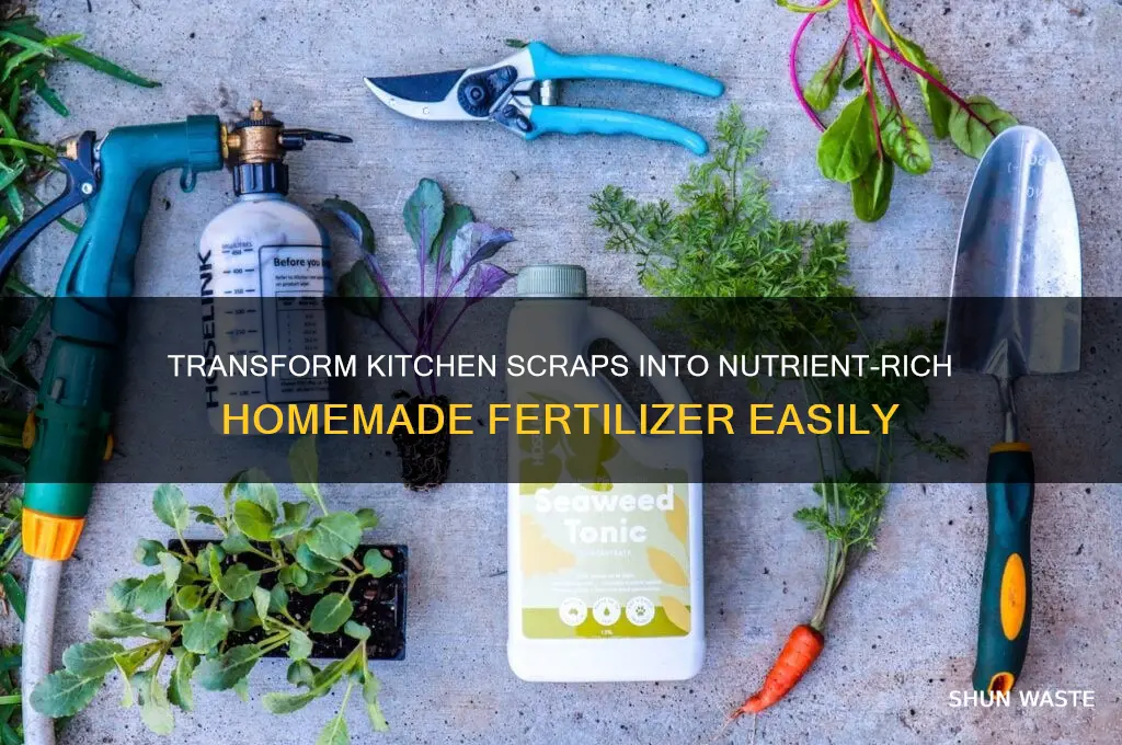 Transform Kitchen Scraps Into Nutrient-Rich Homemade Fertilizer Easily ...