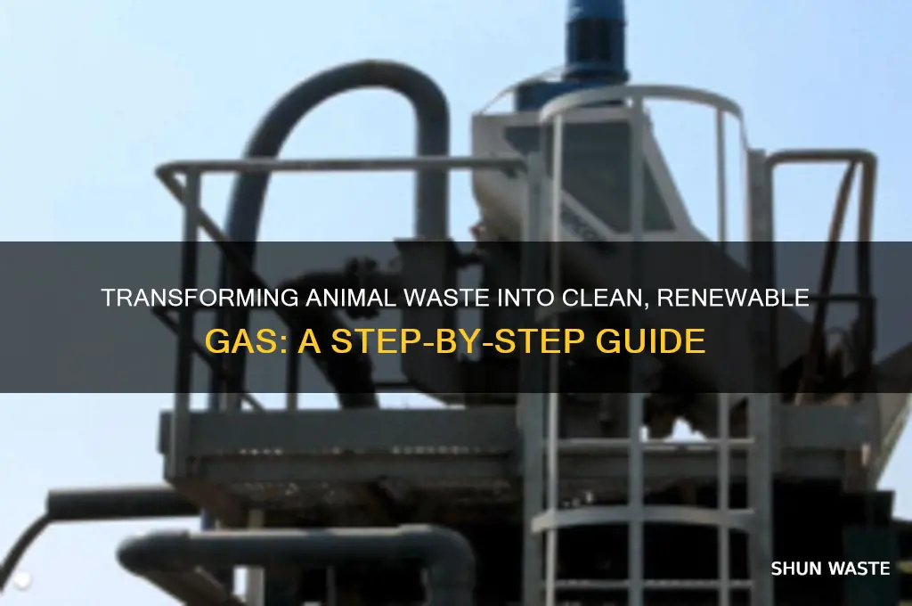 Transforming Animal Waste Into Clean, Renewable Gas: A Step-By-Step ...