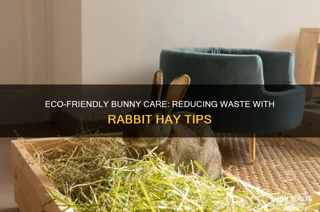 Eco-Friendly Bunny Care: Reducing Waste With Rabbit Hay Tips | ShunWaste