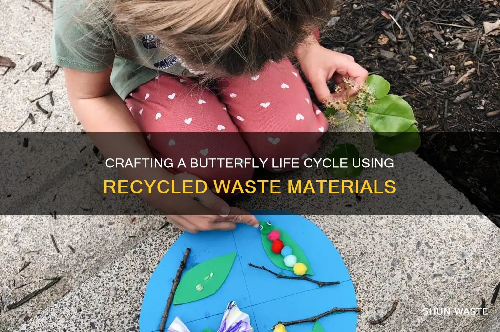 Crafting A Butterfly Life Cycle Using Recycled Waste Materials | ShunWaste