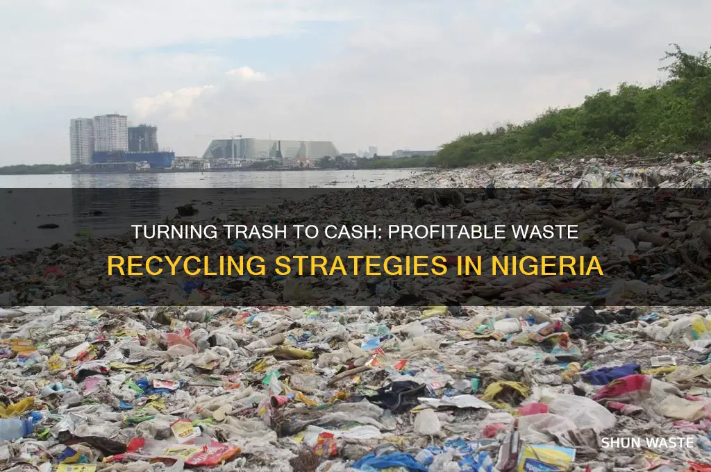 Turning Trash To Cash: Profitable Waste Recycling Strategies In Nigeria ...