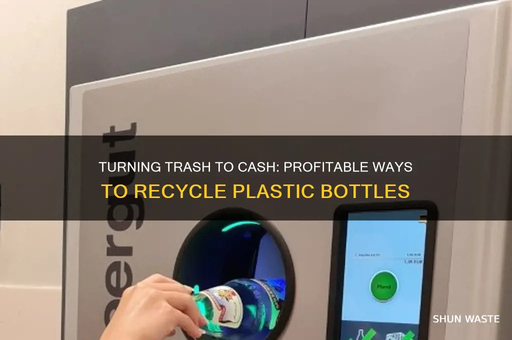 Turning Trash To Cash: Profitable Ways To Recycle Plastic Bottles ...