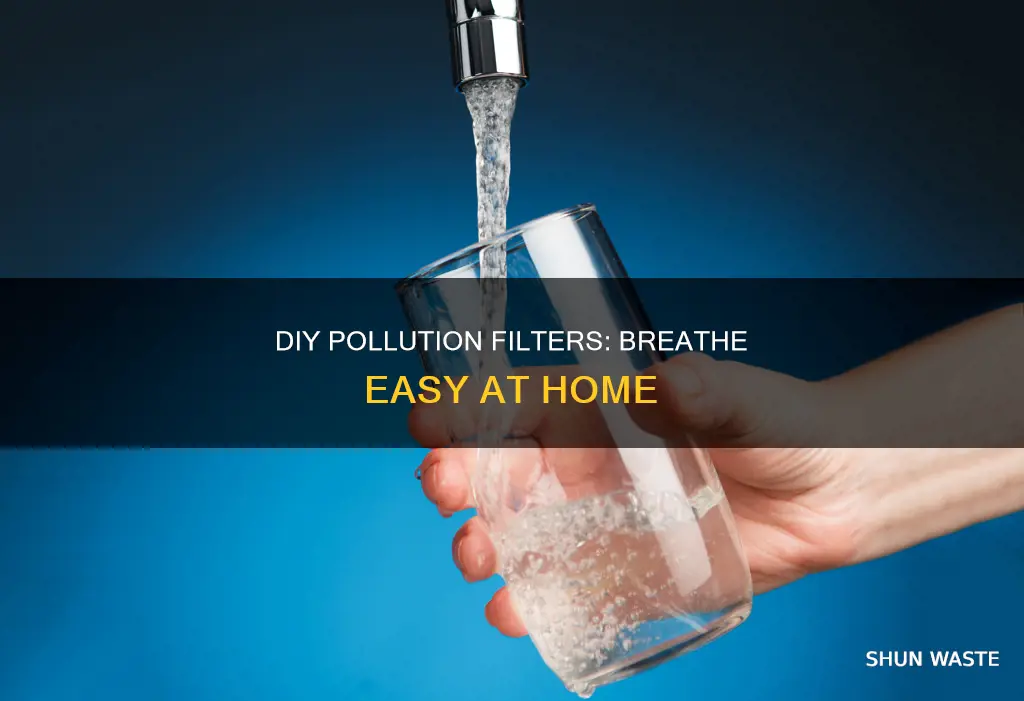 Diy Pollution Filters: Breathe Easy At Home | ShunWaste