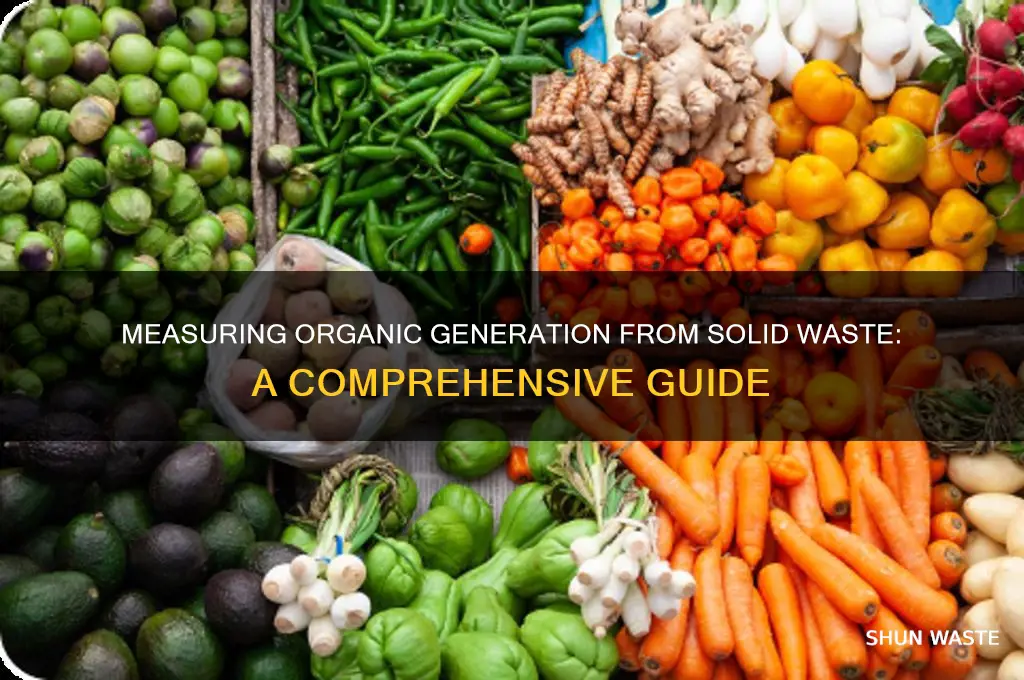 Measuring Organic Generation From Solid Waste: A Comprehensive Guide ...