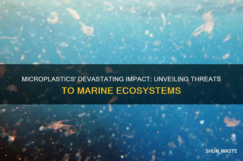 Microplastics' Devastating Impact: Unveiling Threats To Marine ...