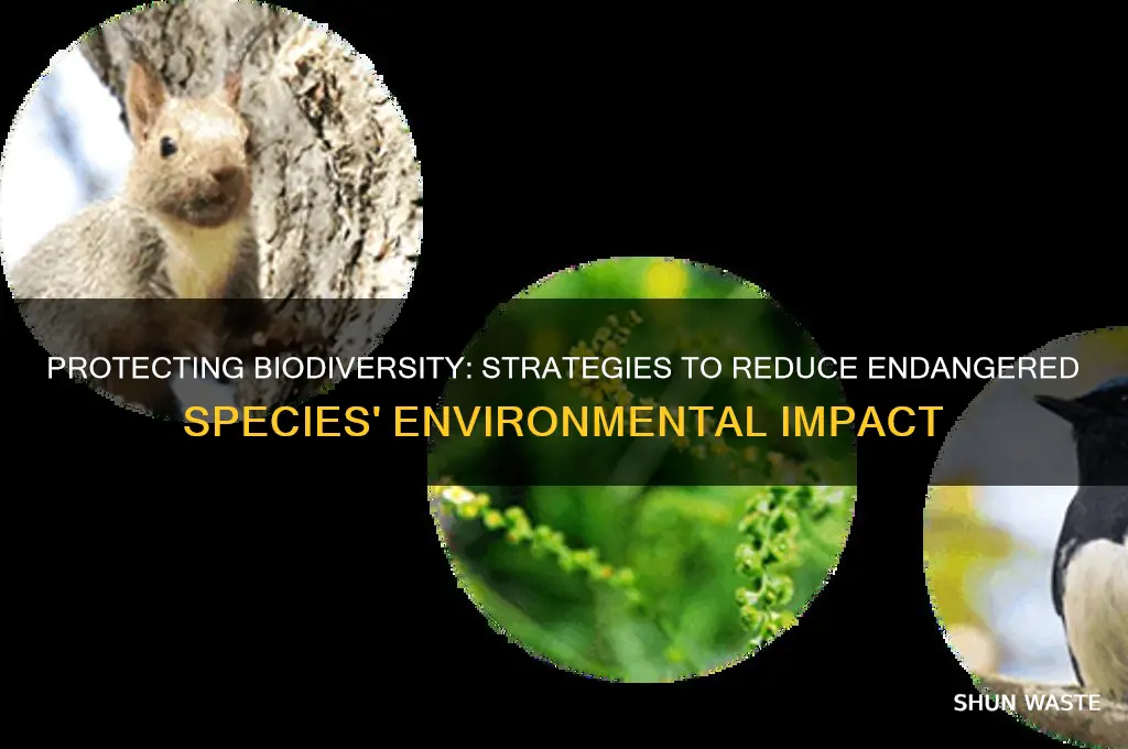 Protecting Biodiversity: Strategies To Reduce Endangered Species ...