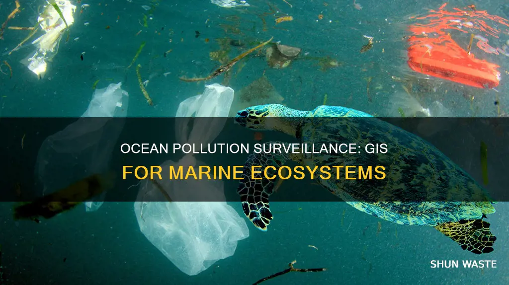 Ocean Pollution Surveillance: Gis For Marine Ecosystems | ShunWaste