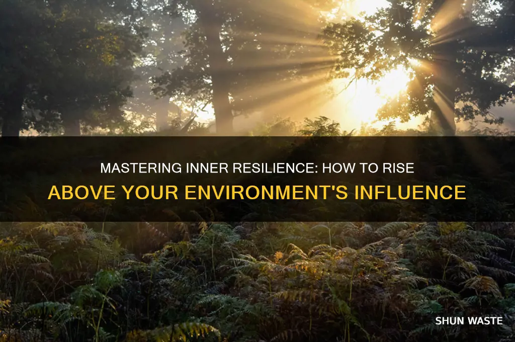Mastering Inner Resilience: How To Rise Above Your Environment's ...