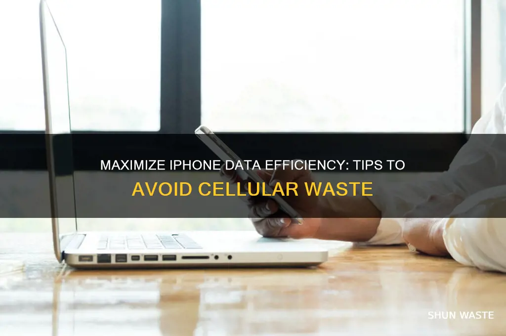 Maximize Iphone Data Efficiency: Tips To Avoid Cellular Waste | ShunWaste
