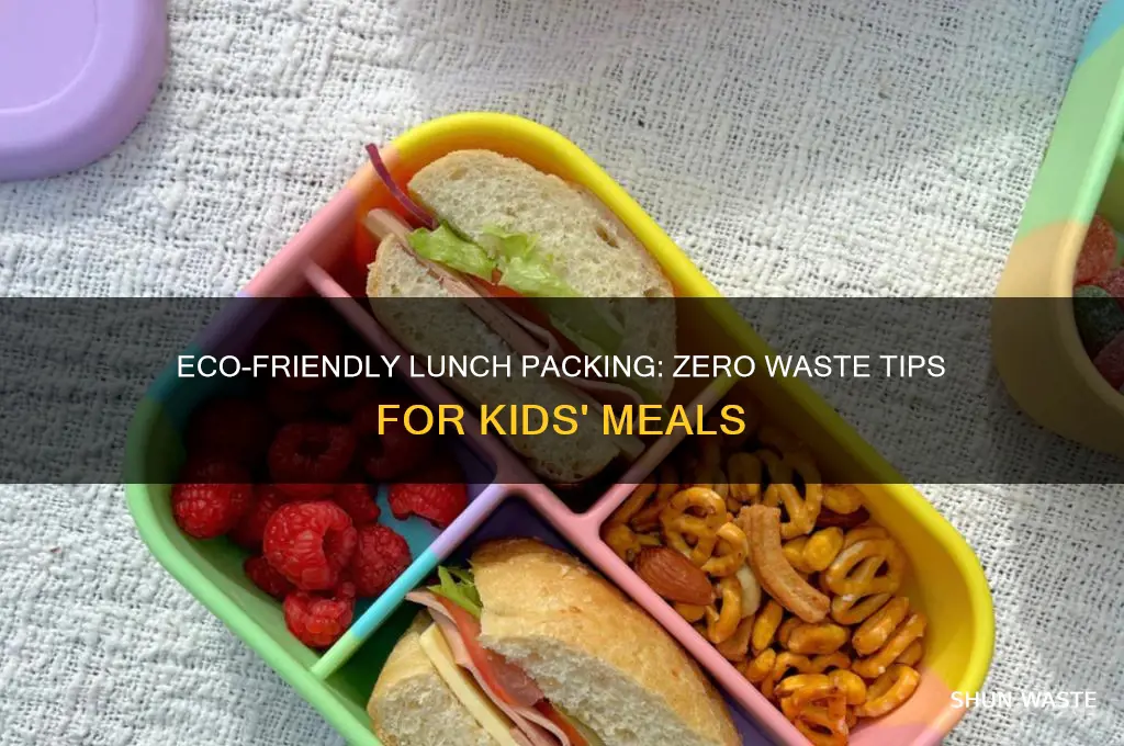 Eco-Friendly Lunch Packing: Zero Waste Tips For Kids' Meals | ShunWaste