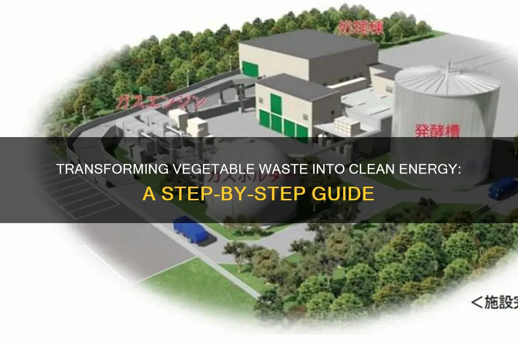 Transforming Vegetable Waste Into Clean Energy: A Step-By-Step Guide ...