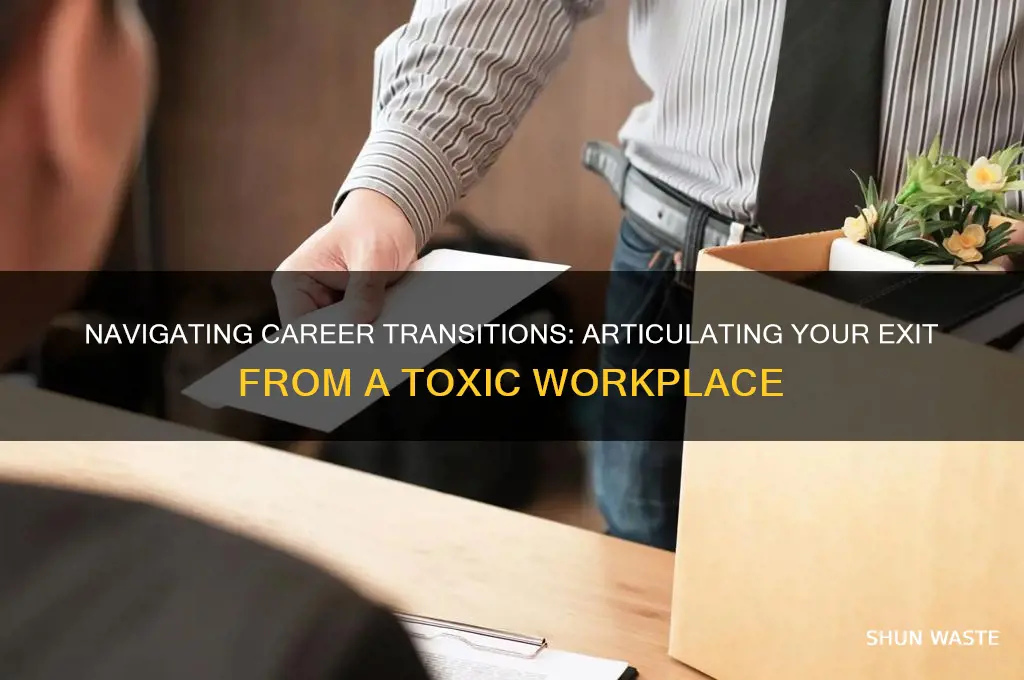 Navigating Career Transitions: Articulating Your Exit From A Toxic ...