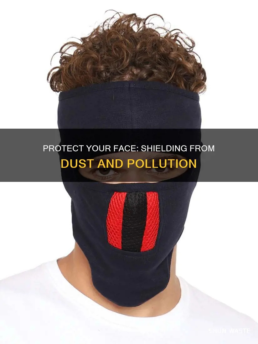Protect Your Face: Shielding From Dust And Pollution | ShunWaste