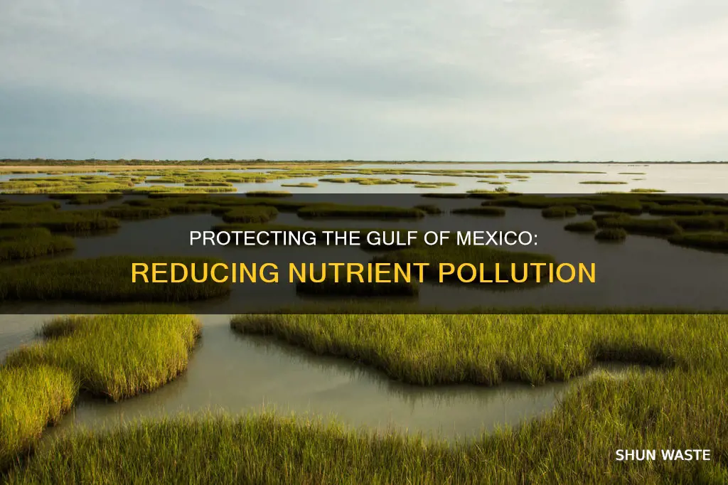 Protecting The Gulf Of Mexico: Reducing Nutrient Pollution | ShunWaste