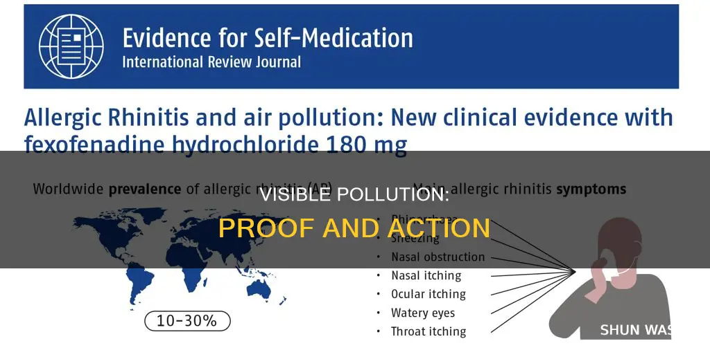 Visible Pollution: Proof And Action | ShunWaste