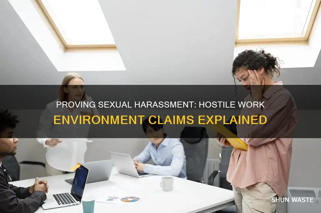 Proving Sexual Harassment: Hostile Work Environment Claims Explained ...