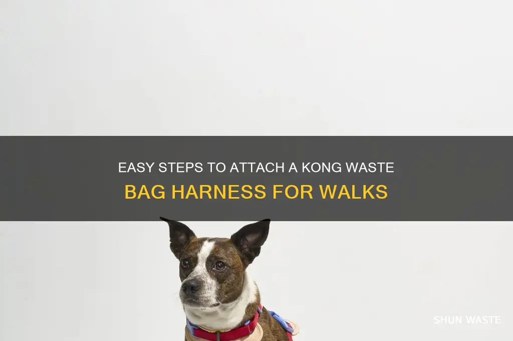 Easy Steps To Attach A Kong Waste Bag Harness For Walks | ShunWaste