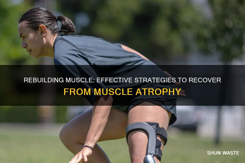 Rebuilding Muscle: Effective Strategies To Recover From Muscle Atrophy ...