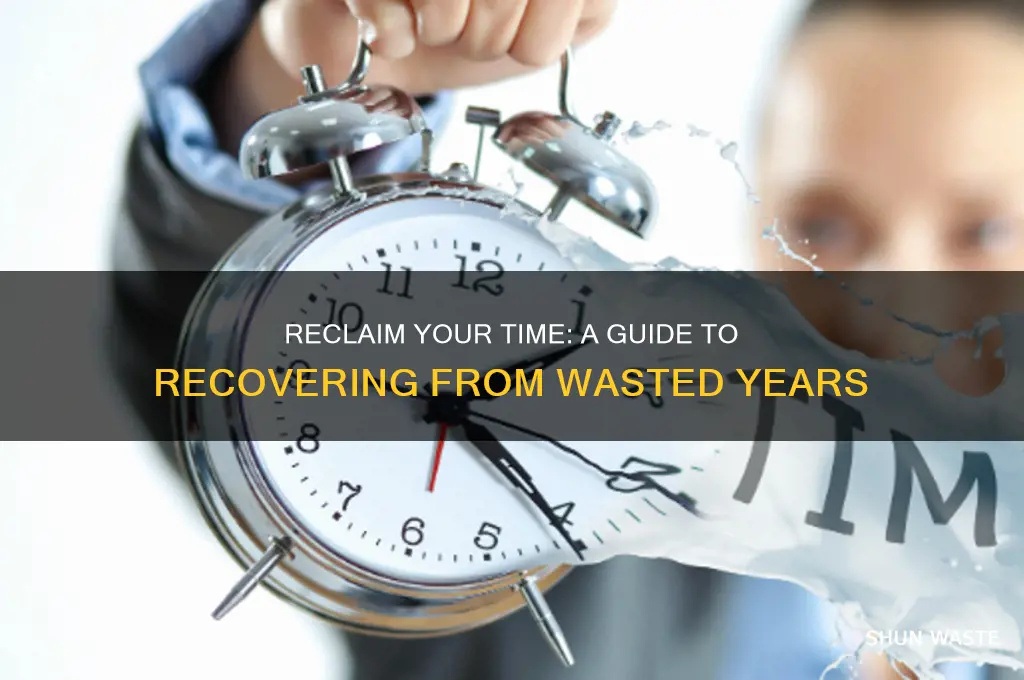 Reclaim Your Time: A Guide To Recovering From Wasted Years | ShunWaste
