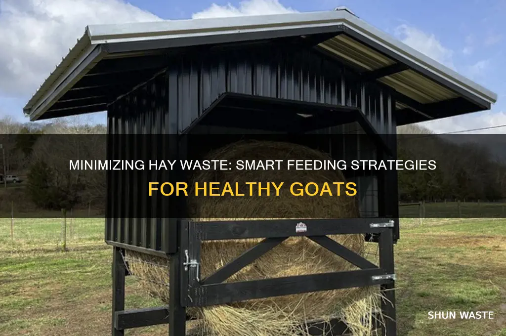 Minimizing Hay Waste: Smart Feeding Strategies For Healthy Goats ...