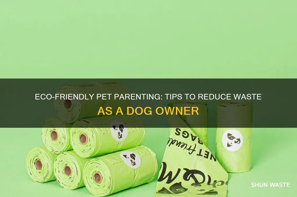 Eco-Friendly Pet Parenting: Tips To Reduce Waste As A Dog Owner | ShunWaste