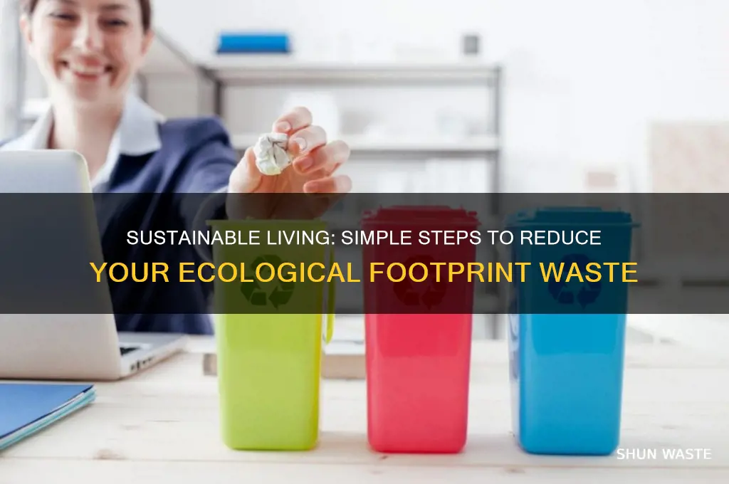 Sustainable Living: Simple Steps To Reduce Your Ecological Footprint ...
