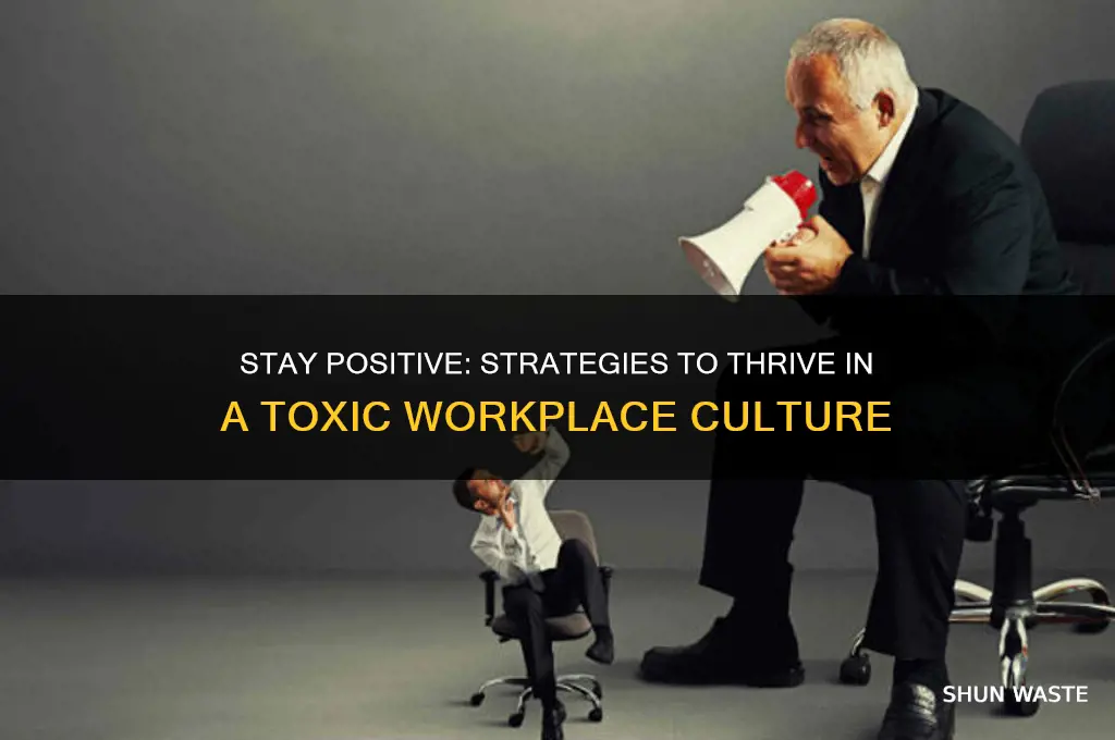 Stay Positive: Strategies To Thrive In A Toxic Workplace Culture ...